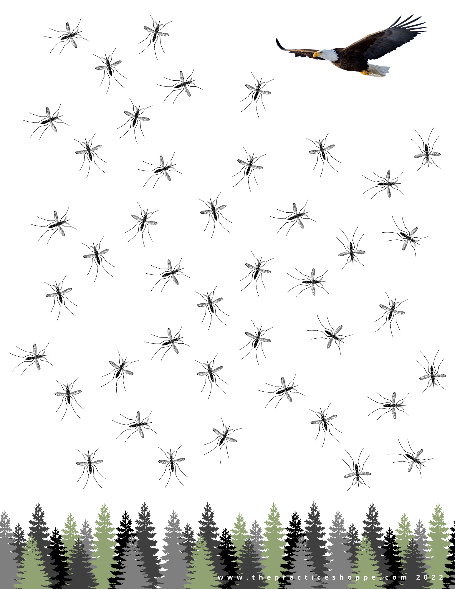 Mosquito Chart (digital download) – The Practice Shoppe